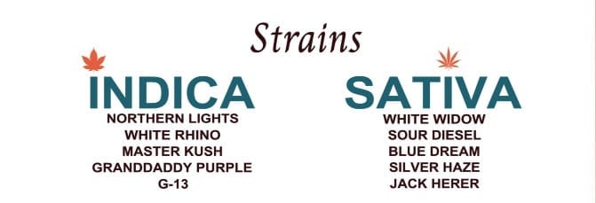 Indica vs Sativa. What Are The Differences Between Them? | Doctors of ...