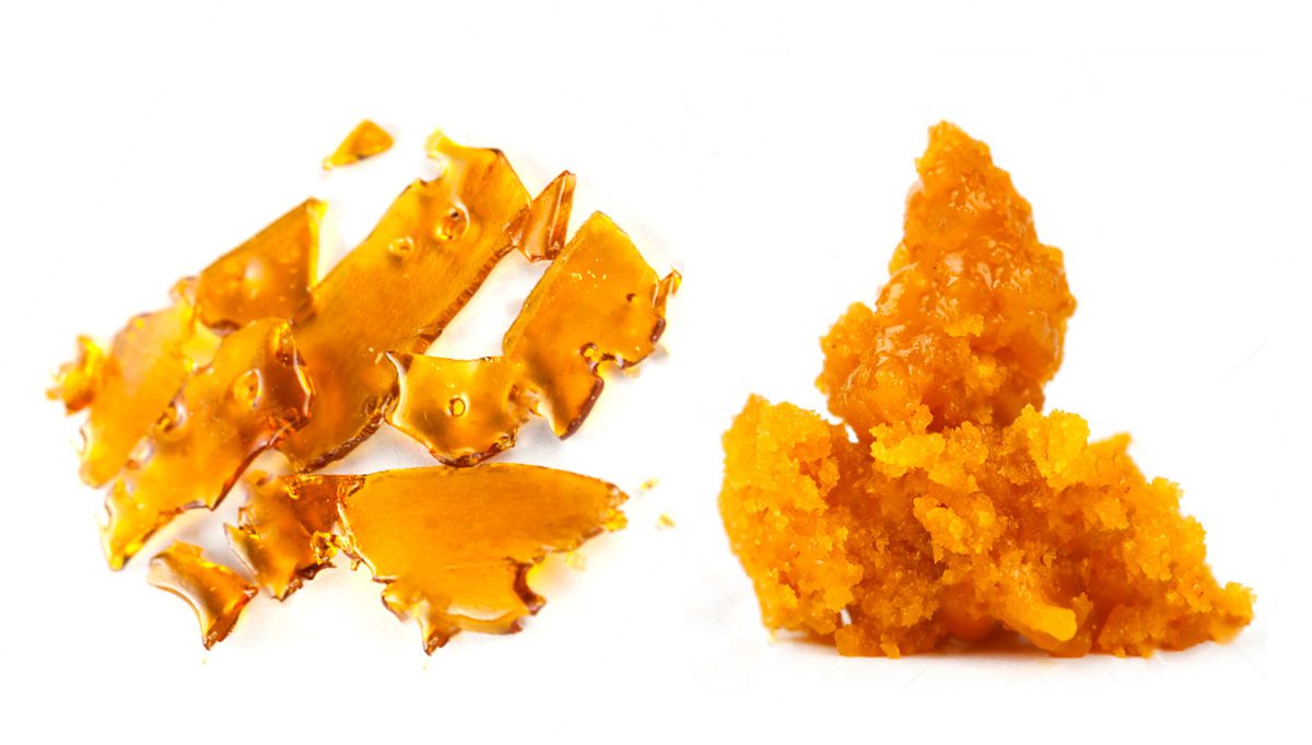Shatter vs Wax - What is It? What is The Difference? | Doctors of ...